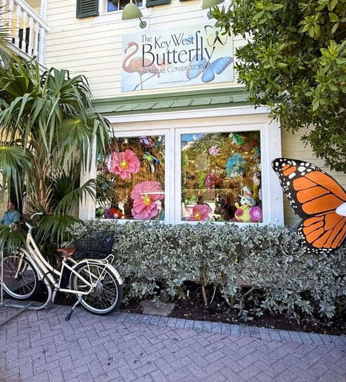 That charming building with the giant butterfly says "come on in" louder than any welcome sign ever could.