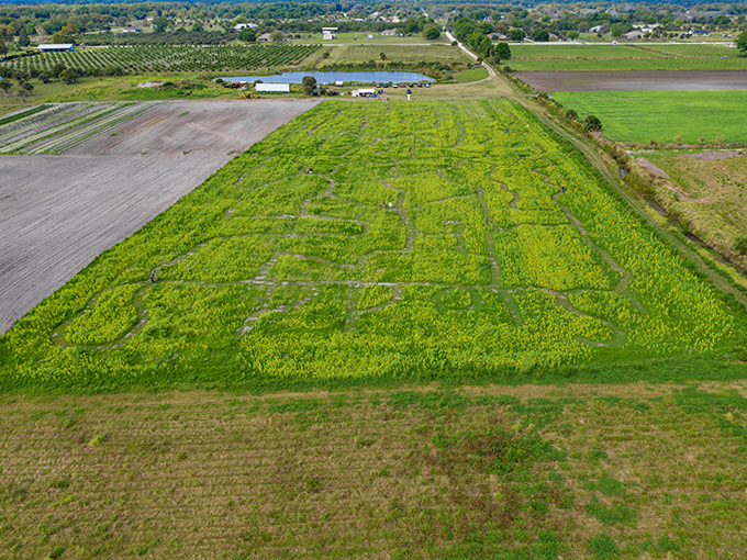 From above, the intricate patterns of Sledd's crop maze reveal themselves&mdash;a verdant puzzle waiting to be solved by adventurous visitors.