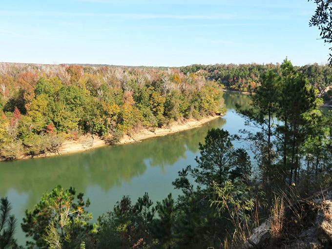 The mighty Apalachicola River carves its path through Florida's Panhandle, delivering life-giving freshwater to one of America's most productive estuaries.