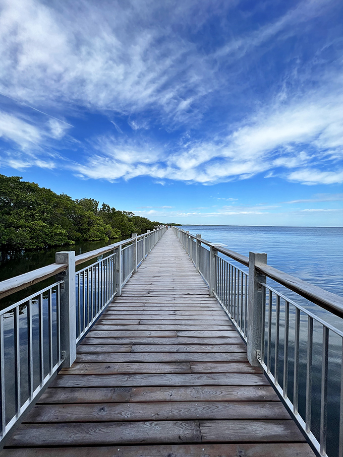 The boardwalk at Biscayne National Park stretches toward the horizon, promising adventures that don't require cell service or Wi-Fi.