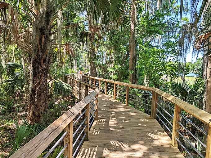 These boardwalks stretch like wooden highways through a world where the speed limit is "leisurely stroll" and traffic jams don't exist.