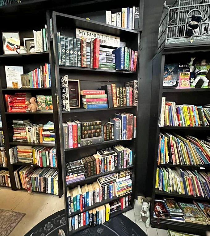 Not just any bookshelf&mdash;this one might be the gateway to your evening's adventure. Choose wisely, literary detectives.