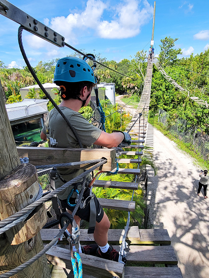 Courage takes the form of careful steps across suspended logs, as this young explorer demonstrates perfect balance amid the treetops.