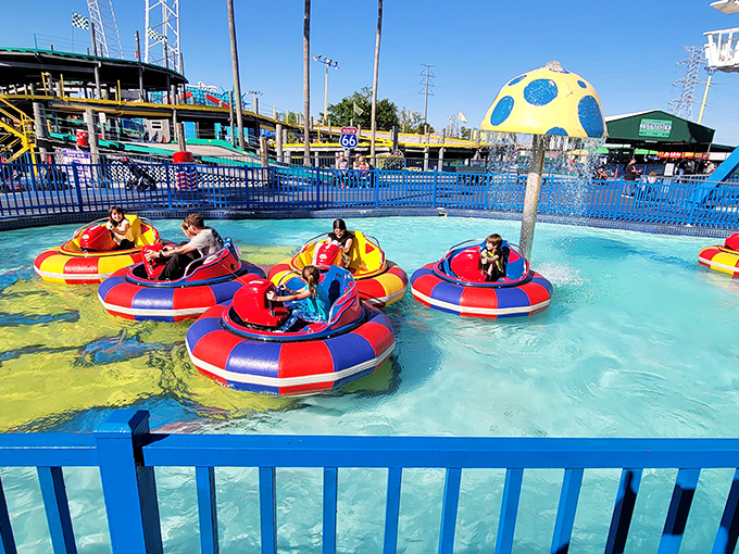 Bumper boats offer aquatic combat for the whole family – where getting splashed isn't just possible, it's practically guaranteed.