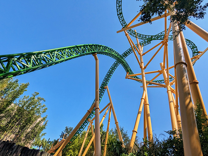 Cheetah Hunt slithers through the landscape like a high-speed serpent, giving riders a taste of what it's like to be Florida's fastest feline.