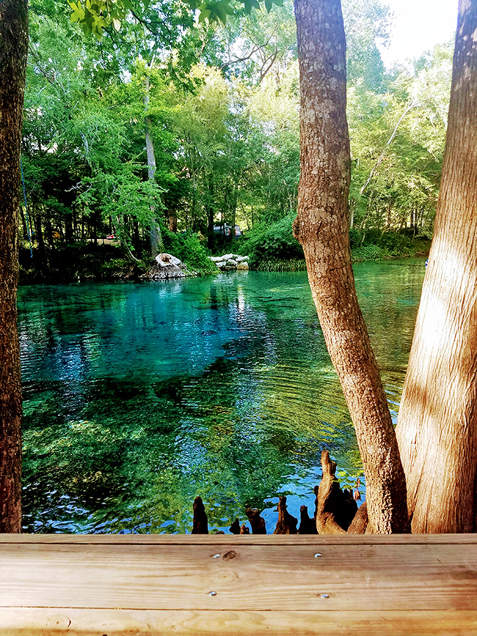Water so clear you'd swear someone forgot to put it there &ndash; Mother Nature showing off her filtration skills.