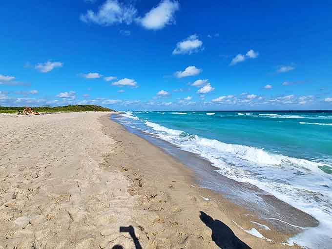 Where waters meet: The historic bridge spans the Suwannee River, connecting travelers to adventures on both shores of this legendary waterway.