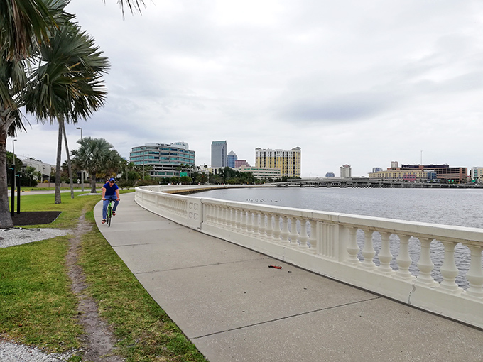 A lone cyclist takes advantage of the dedicated bike lane, proving that Bayshore's charms can be enjoyed at various speeds.