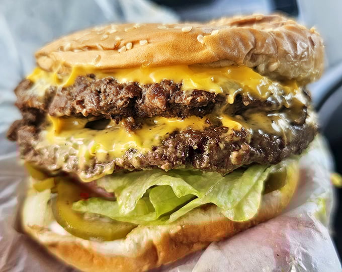 Architectural genius disguised as lunch, hand-formed patties with cheese that doesn't just sit but cascades down the sides like a dairy waterfall.