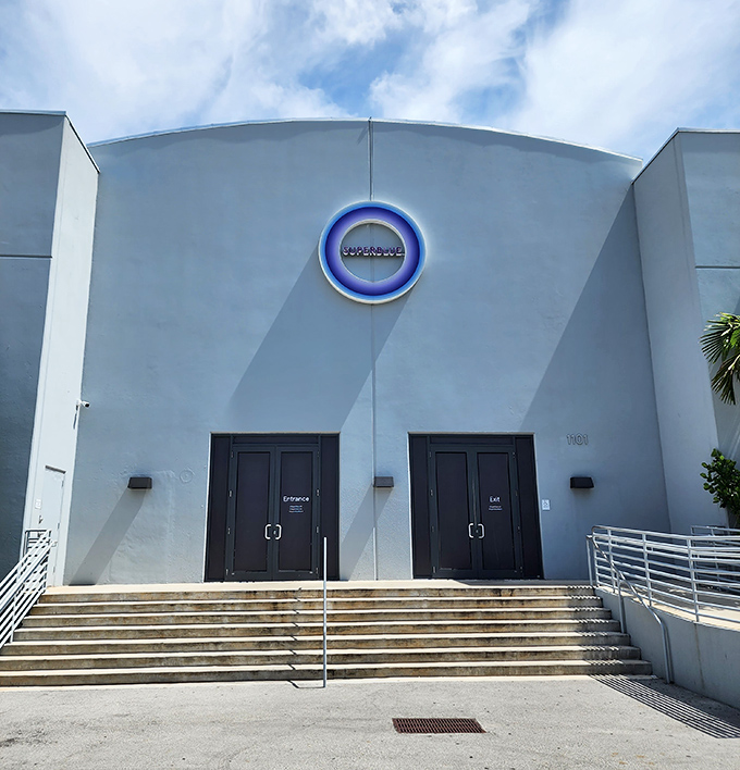 These doors might look ordinary, but they're actually portals to another dimension where physics took a vacation and color threw a party.