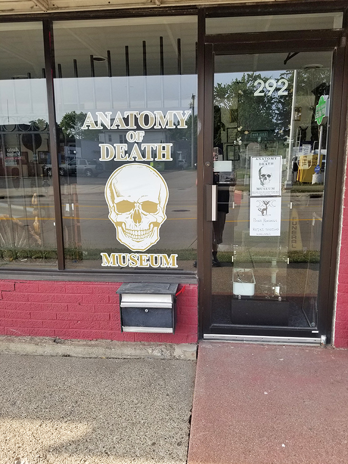 The museum's entrance makes its purpose clear with a striking skull logo &ndash; a portal to an educational journey through mortality's history.