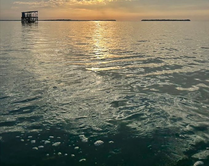 Florida Bay stretches to infinity, a liquid canvas painted with sunset hues that no filter could improve.
