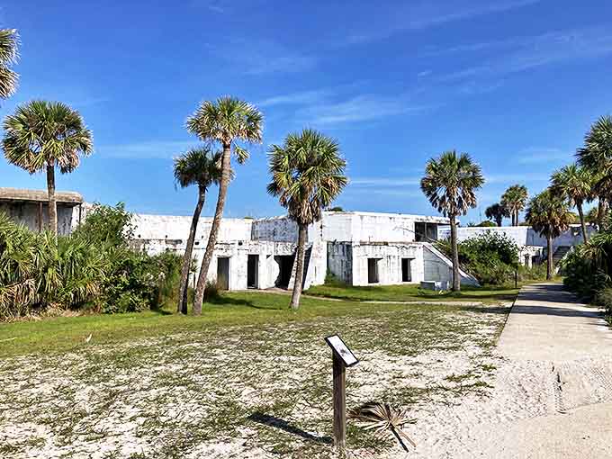 Nature slowly reclaims Fort Dade's concrete remnants, turning military history into an artistic collaboration with time and elements.