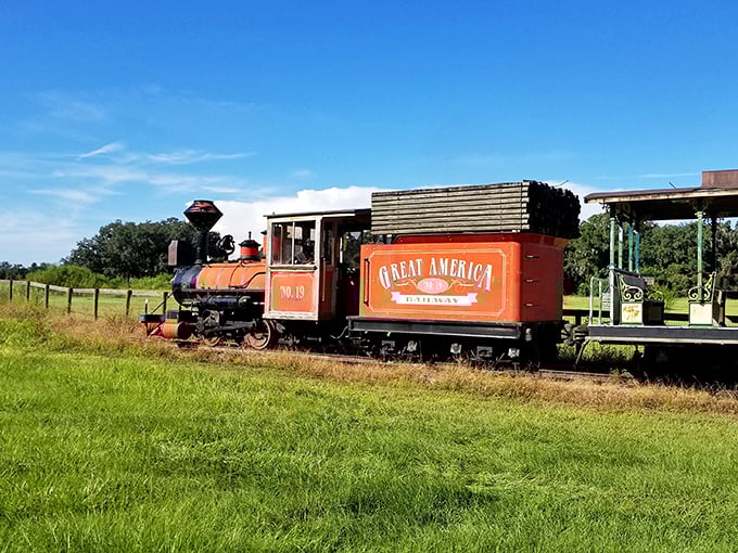The Great America Train showcases patriotic pride with its bold colors and vintage charm – a rolling piece of Americana that delights all ages.