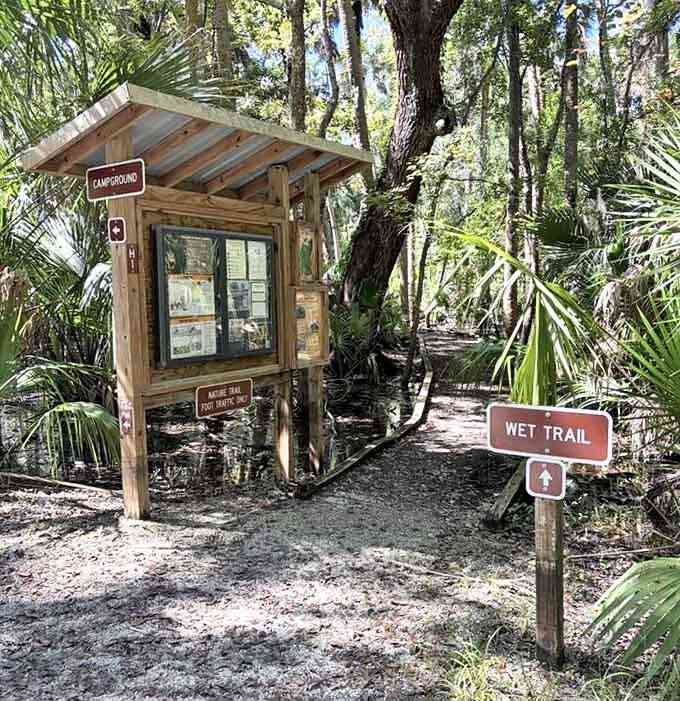 Trail markers guide adventurers through the island's wild heart, where every turn promises a new discovery among the palmettos and pines.