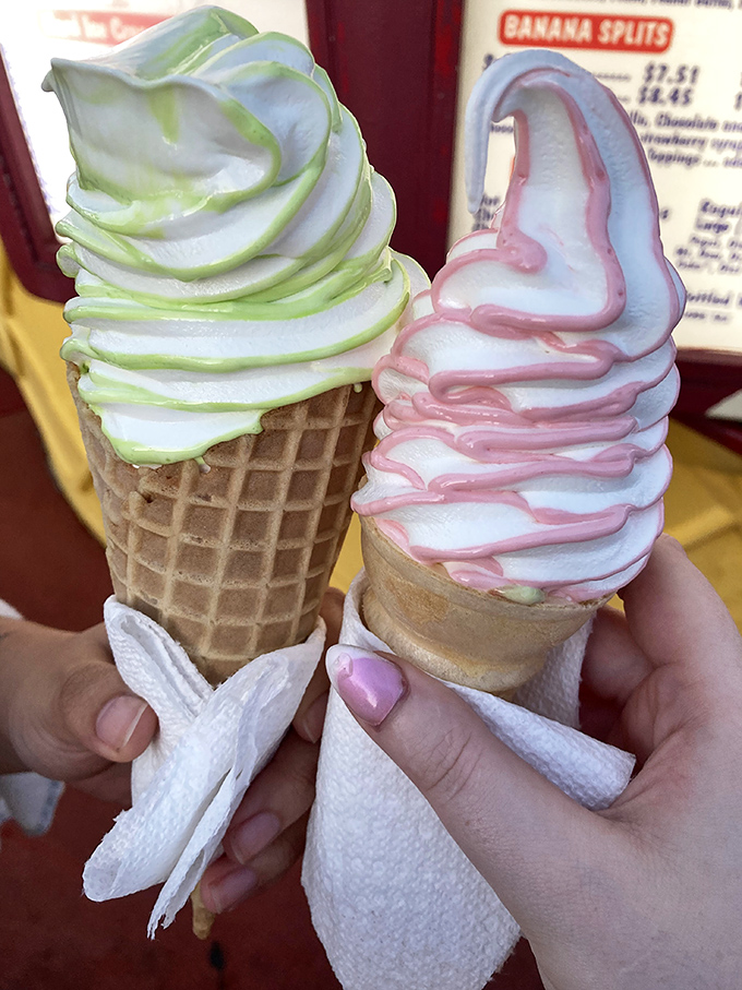 Two perfectly swirled cones showcase Twistee Treat's artistry &ndash; one lime-streaked masterpiece and one pink-ribboned beauty, both demanding to be devoured before Florida's sunshine claims them.