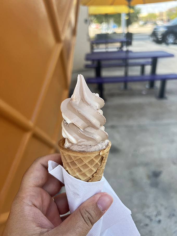 Simple perfection in a cone &ndash; this velvety soft serve defies gravity while gravity defies your eating strategy.