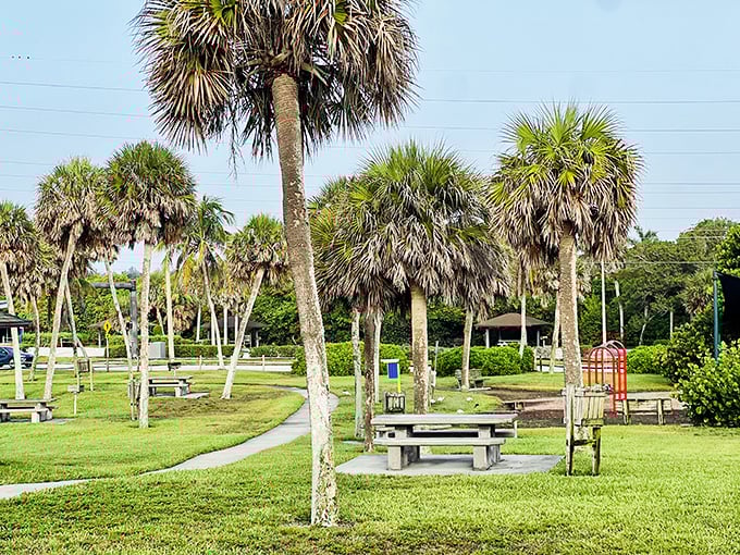 Palm trees stand sentinel at Jaycee Park, where picnic tables and playground equipment create the perfect family-friendly beach alternative.
