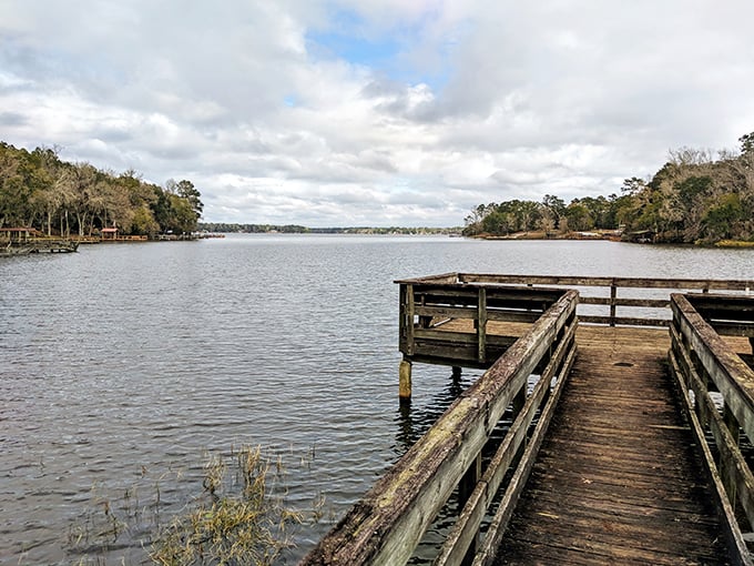 The lake view stretches toward infinity, mirroring clouds that seem to be auditioning for their own Florida postcard moment.