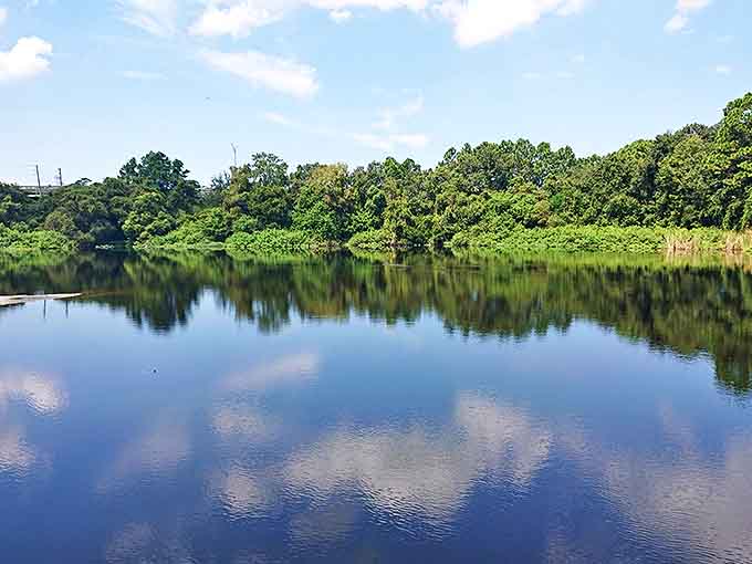 Mirror, mirror on the lake, showing reflections so perfect they'll make your Instagram followers think you used filters.