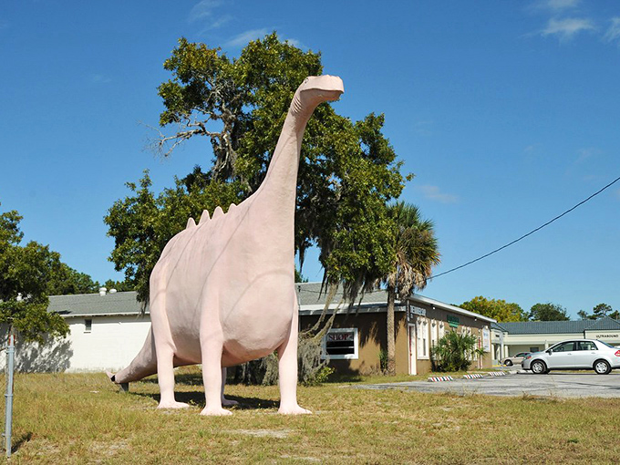 Looking up at this prehistoric pink wonder gives you a new perspective on Florida's quirky roadside charm.