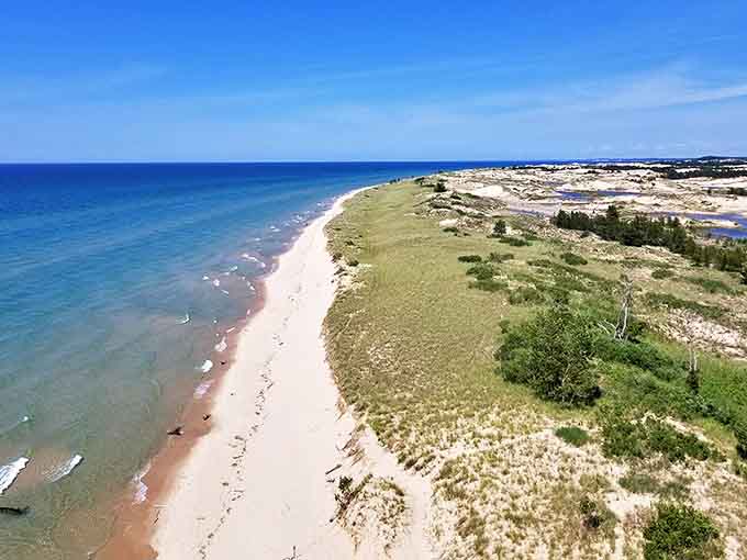 From above, the meeting of Lake Michigan's blue vastness with golden shorelines creates nature's perfect color palette.