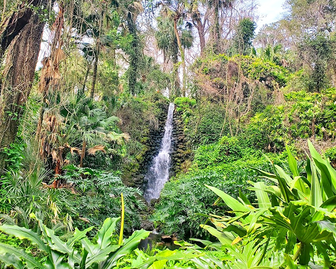 These artfully designed cascades have been embraced by the surrounding ecosystem, draped in moss and tropical ferns.