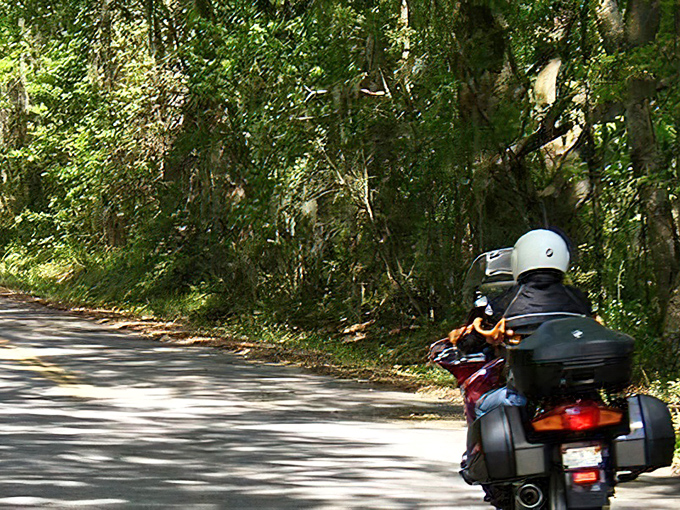 Even motorcyclists slow their pace here, understanding that Miller Landing Road demands reverence rather than speed &ndash; nature's own "smell the roses" reminder.