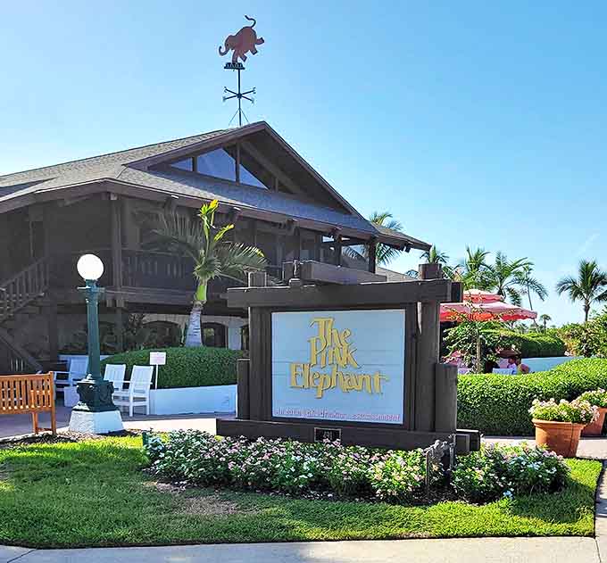 The Pink Elephant stands guard with its whimsical weathervane, promising seafood worth trumpeting about and sunset views that'll make your smartphone jealous.