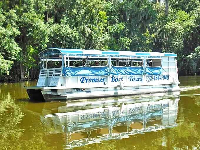 Glide through cypress-lined waterways on these comfortable pontoons, where nature's show beats anything on your streaming services.