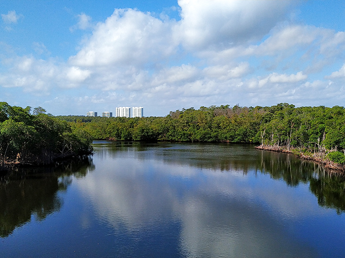 The lifeblood of the park meanders lazily through mangrove forests, carrying kayakers and secrets with equal ease.