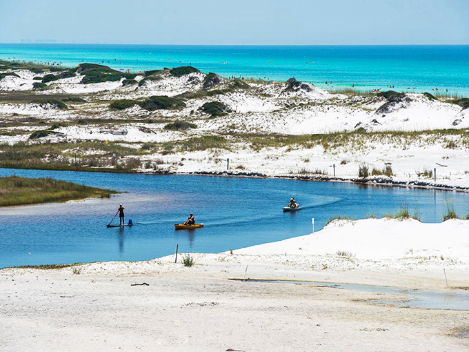 Sand Dunes in Grayton Beach State Park: Kayakers glide through the rare coastal dune lakes, where freshwater and saltwater create a unique ecological wonderland.