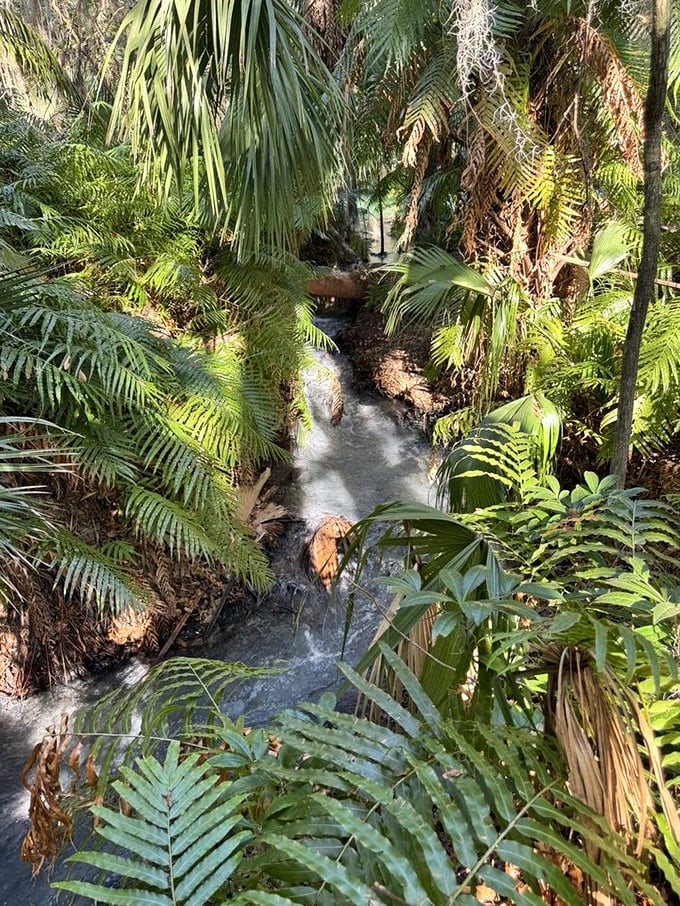 Water carves its persistent path through the landscape, creating miniature rapids that sound like nature's own meditation soundtrack.
