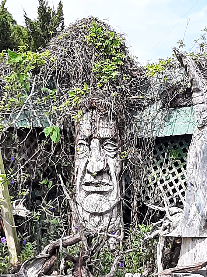 Nature slowly reclaims this wooden face, vines creating a living crown atop the weathered features carved with remarkable detail.
