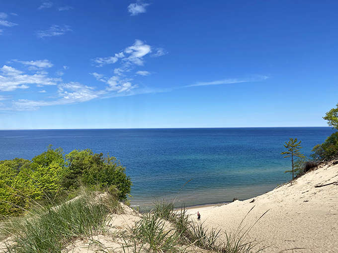 Van Buren State Park's pristine shoreline, proving that Michigan beaches can absolutely compete with any ocean view you've seen.