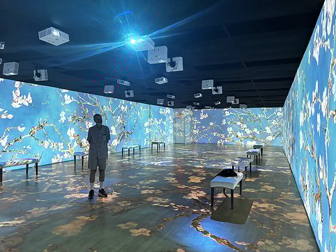 Step into Van Gogh's swirling dreamscape where art comes alive, surrounding you with brushstrokes that dance across walls and floor.