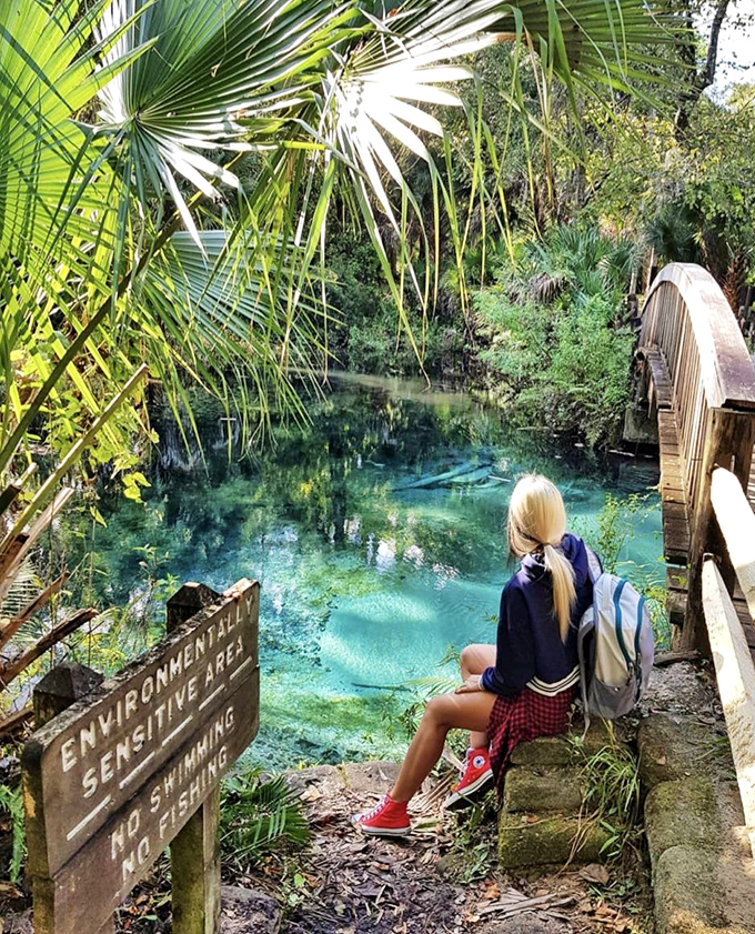 Perched between paradise and reality, this spot offers front-row seats to nature's most impressive water show.