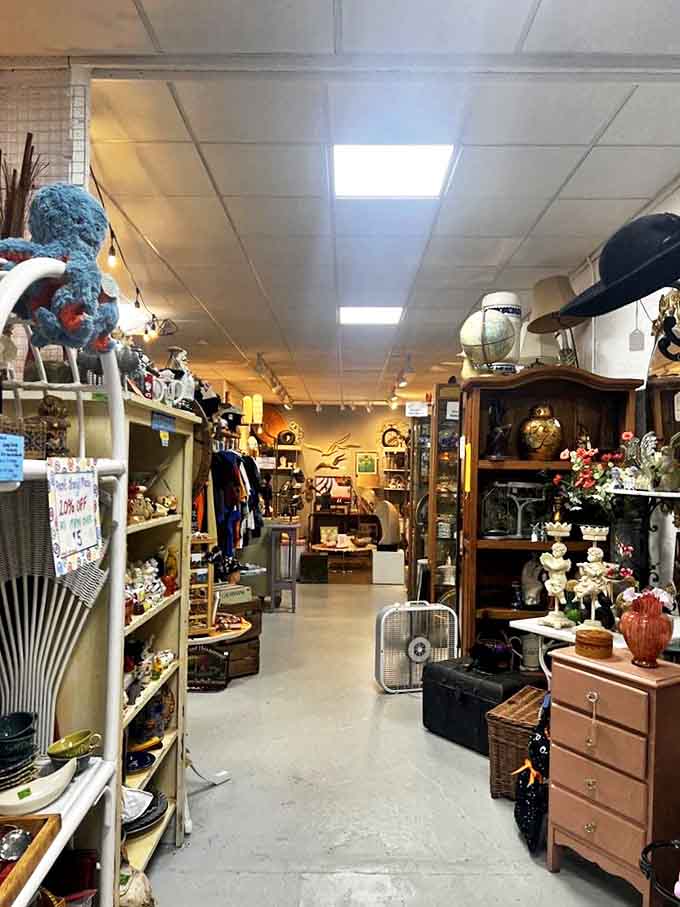 Every inch tells a story in this thrifter's dream—where yesterday's castoffs become today's must-haves in a delightful jumble of decades.
