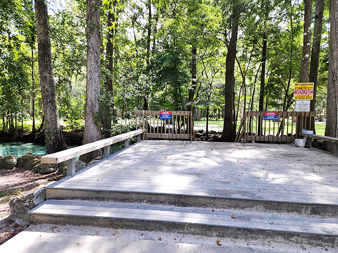 This wooden deck isn't just a platform &ndash; it's the gateway to adventure, inviting visitors to take that first magical plunge.