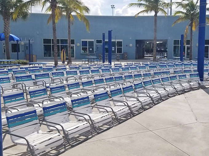 The blue brigade stands at attention, ready to cradle weary bodies between aquatic adventures like old friends waiting with open arms.