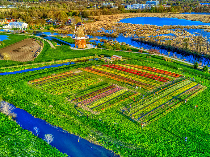Bird's eye view: From above, the geometric precision of Dutch garden design creates a living patchwork quilt of vibrant colors.