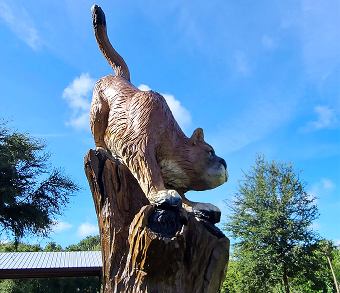 A mountain lion stretches along a curved branch, its powerful form following the natural contours of the wood.