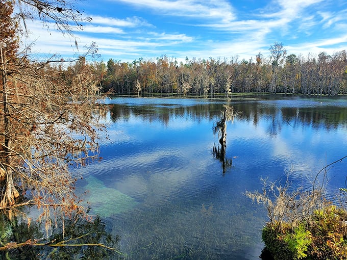 Fall transforms this aquatic wonderland into a painter's palette of amber and gold, with every leaf's reflection doubling the visual feast.