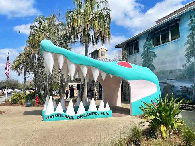 The famous gator mouth entrance welcomes brave souls into Gatorland with a toothy grin that's equal parts kitsch and intimidation.