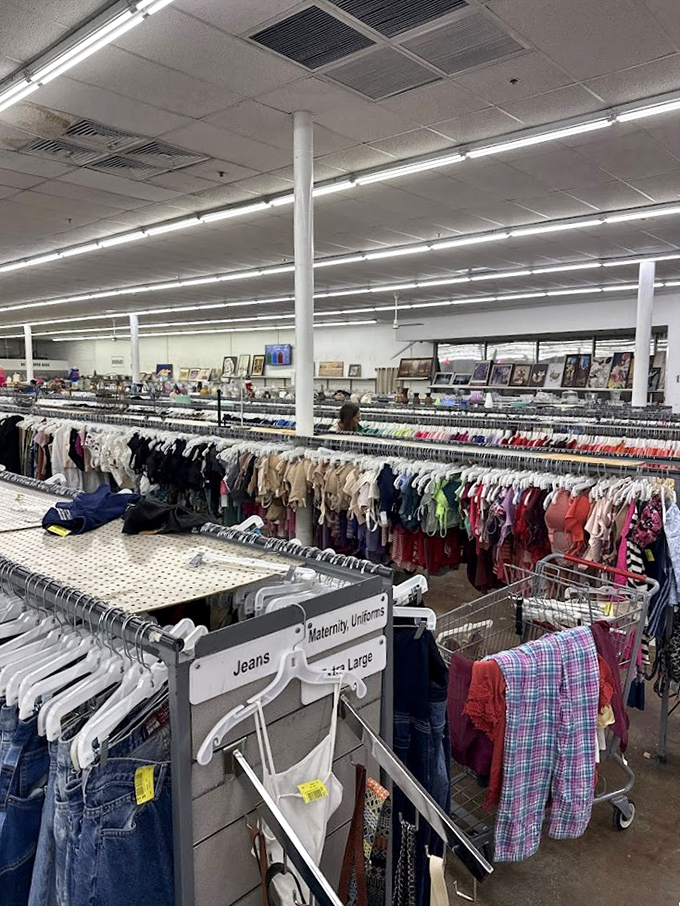 Racks upon racks create a textile landscape where vintage band shirts nestle next to designer blouses, all waiting for their second chance.