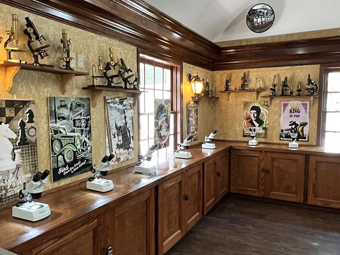 The gallery's warm wood paneling and thoughtful layout invite visitors to slow down and discover artwork that exists beyond normal human perception.