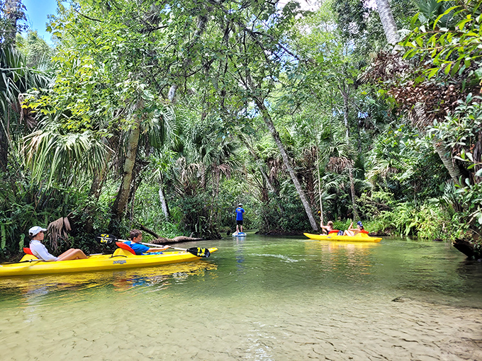 Gliding through emerald corridors where every paddle stroke reveals another postcard-worthy scene that no filter could improve.