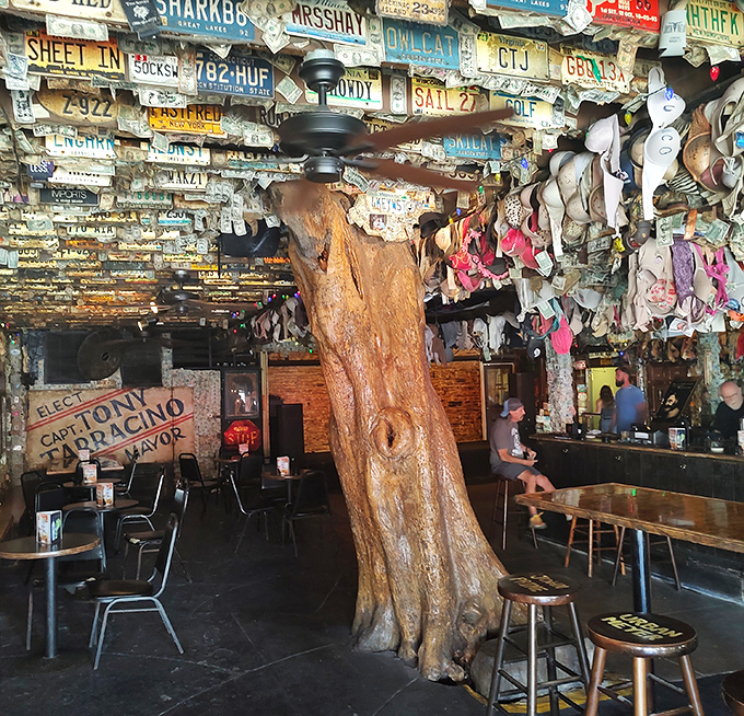 That's not just decoration&mdash;an actual tree grows through the floor and ceiling, rumored to have once served darker purposes.