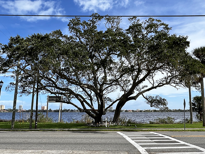 Sprawling branches create the perfect canopy for this gnome metropolis, where ceramic citizens enjoy Florida living without the hassle of sunscreen.