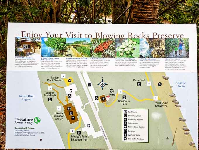 Your treasure map to natural wonders! The preserve's trail guide reveals hidden gems from native gardens to spectacular ocean vistas.